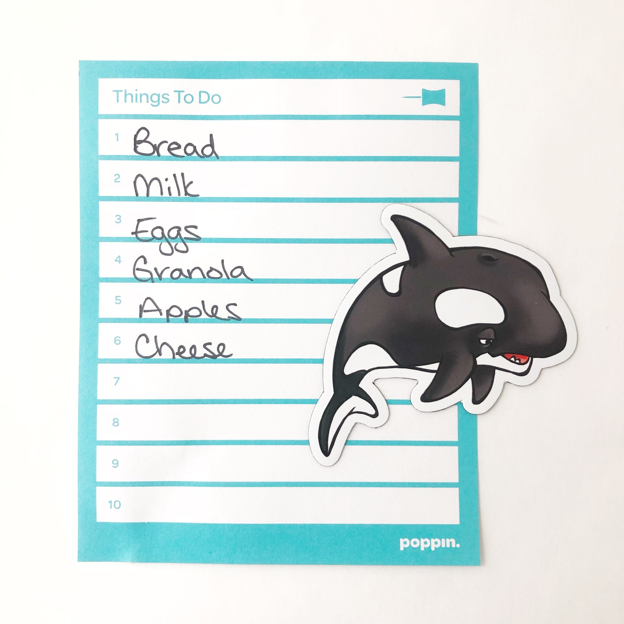 Orca Whale Magnet - Salty Sea Dog Designs